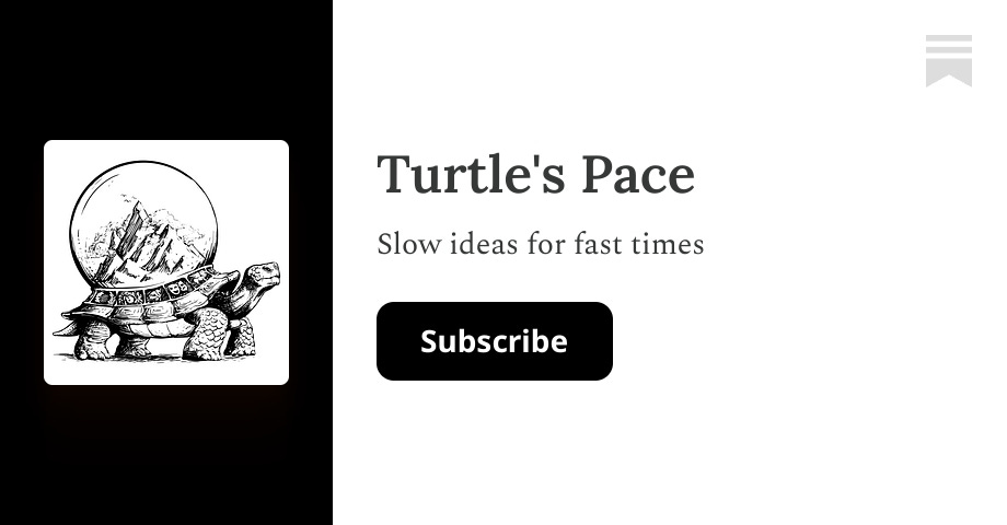 Archive - Turtle's Pace