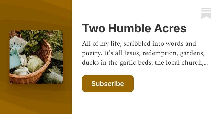 Two Humble Acres | Andrea Burke | Substack