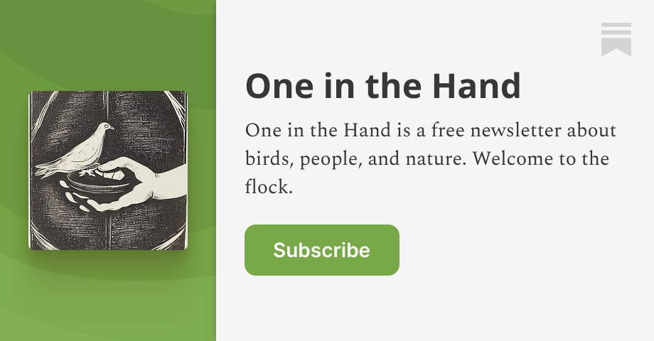 One in the Hand | Andrew Reiter | Substack