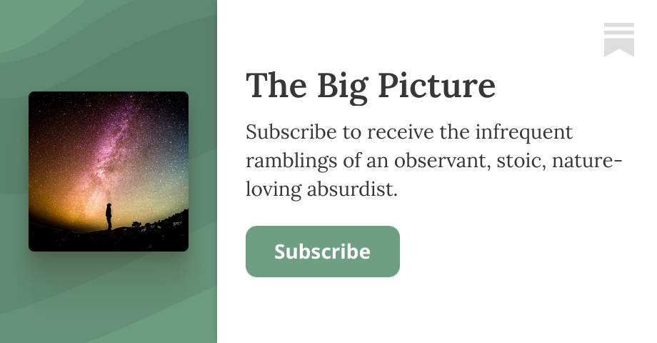 The Big Picture | Andy Robinson | Substack