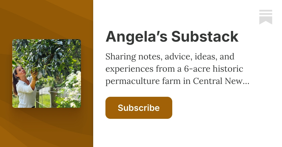 Angela’s Substack | Angela Ferraro-Fanning | Substack