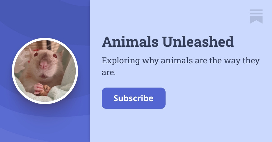 Animals Unleashed | Substack