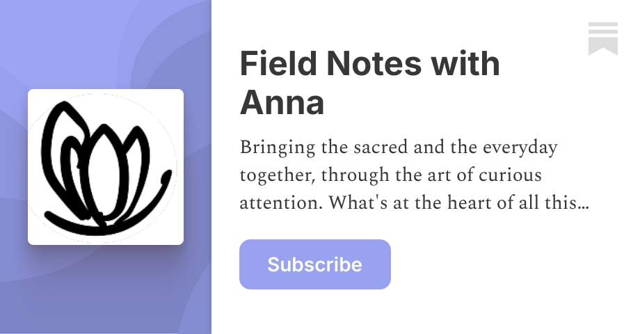 Field Notes with Anna | Anna Noack | Substack