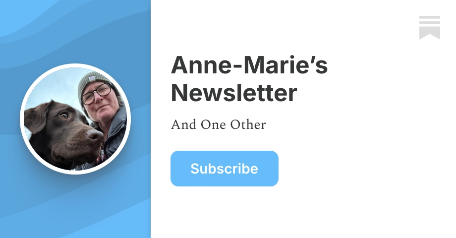 Anne-Marie’s Newsletter | Anne-Marie Shepherd | Substack