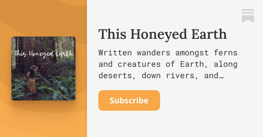 This Honeyed Earth | Substack