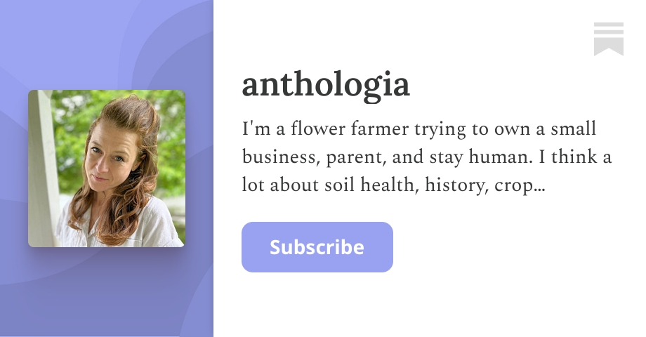 anthologia | Claire Sibley | Substack