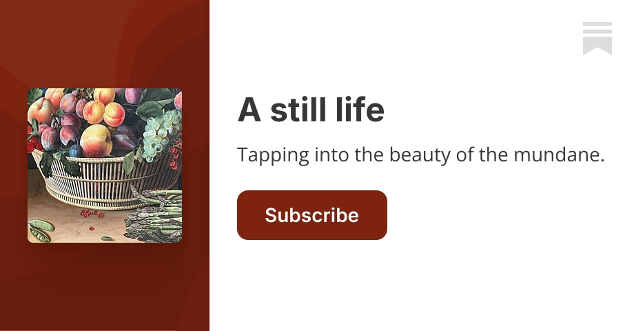 A still life | Amanda Porter | Substack