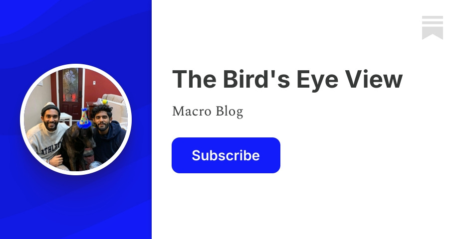 The Bird's Eye View | Arjun Ananth | Substack