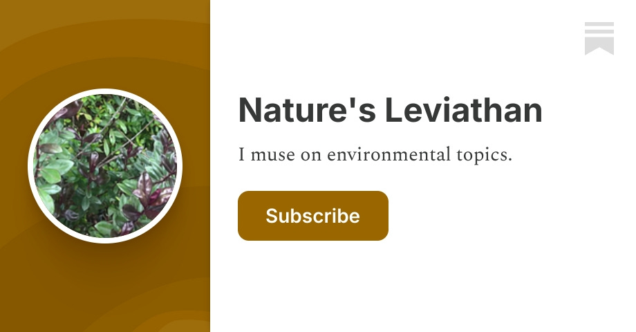 Nature's Leviathan | Arkboltz | Substack