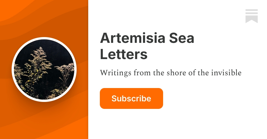 Artemisia Sea Letters | Substack