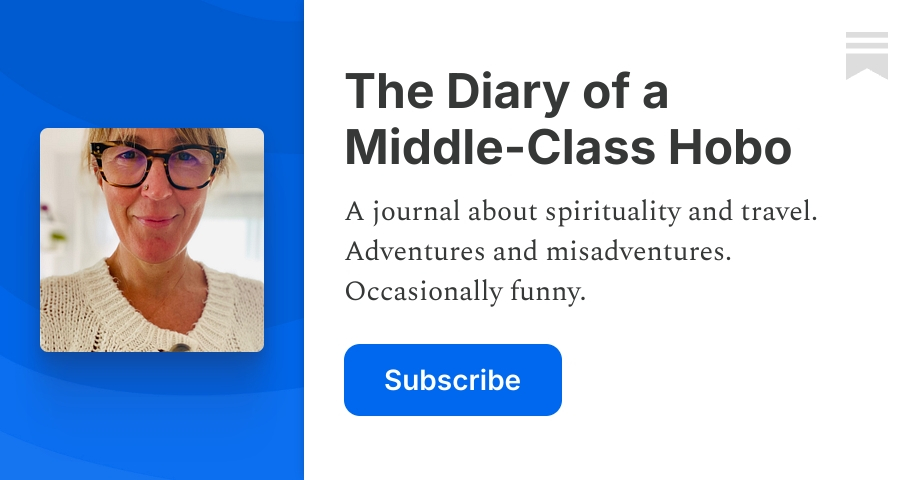 The Diary of a Middle-Class Hobo | Artemis Saedi | Substack