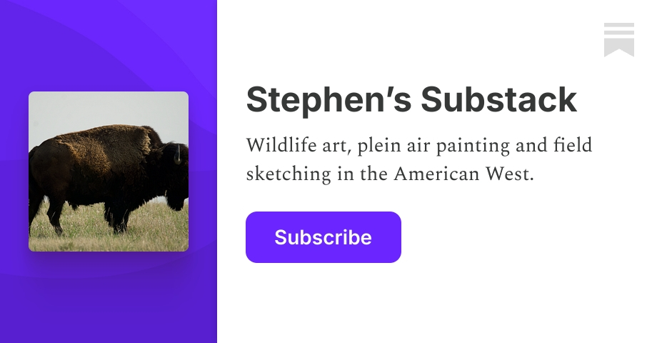 Texas Sketches - by Stephen Wright - Stephen’s Substack