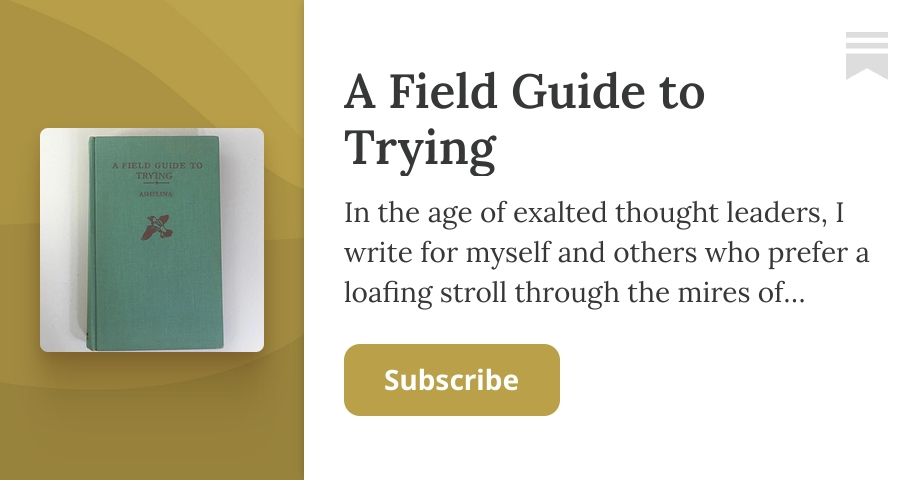 A Field Guide to Trying | Ashelina | Substack