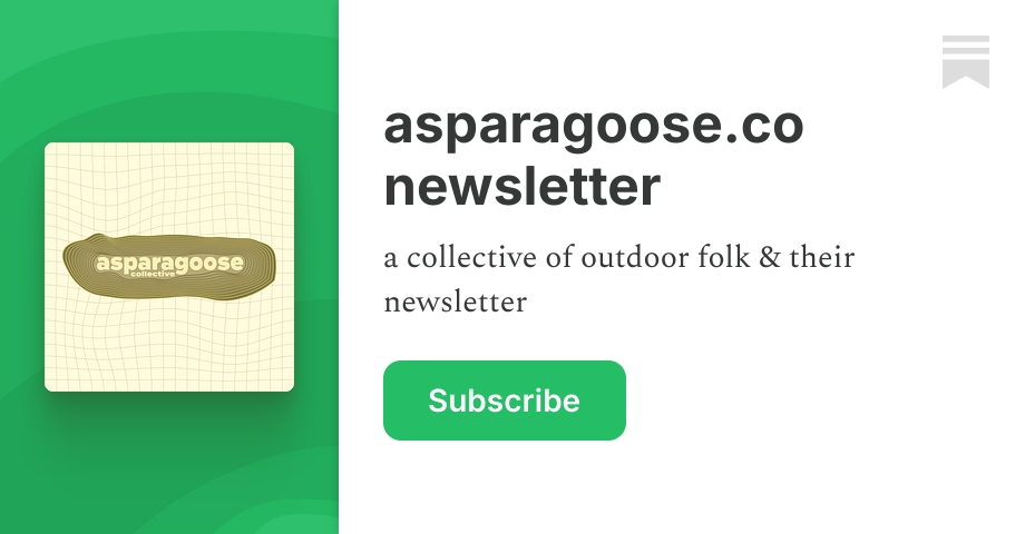asparagoose.co newsletter | Substack