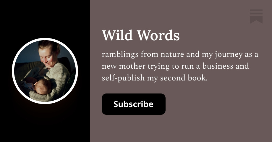 Wild Words | Athena Mellor | Substack
