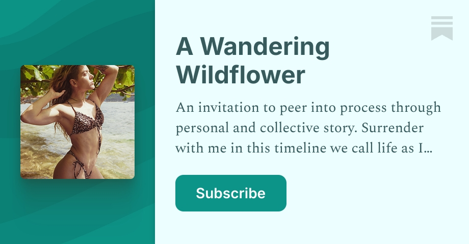 A Wandering Wildflower | Michelle Sorensen | Substack