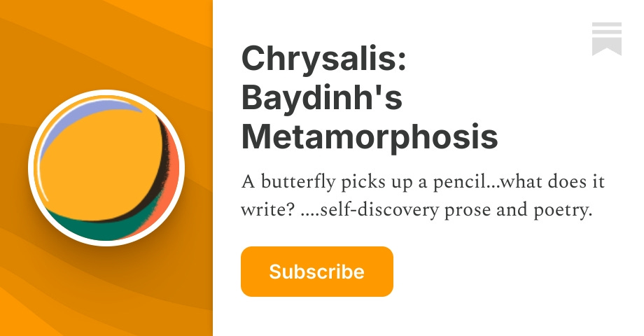 Chrysalis: Baydinh's Metamorphosis | Baydinh Do | Substack