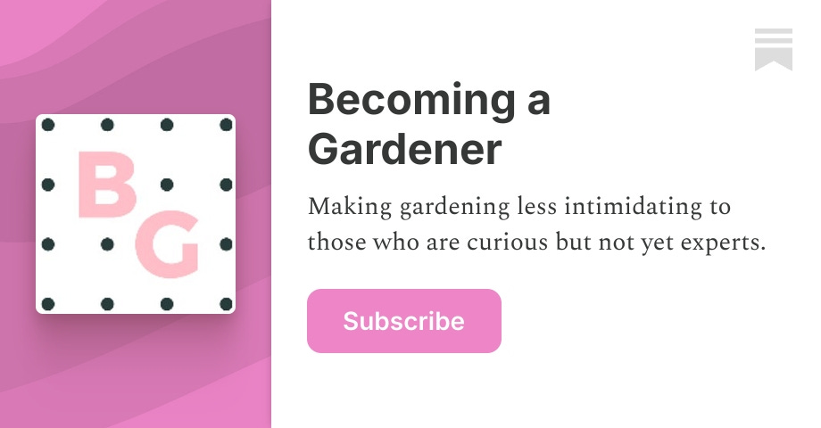 Becoming a Gardener | Katy Gardener | Substack