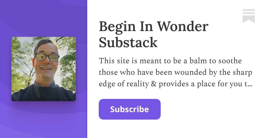 Begin In Wonder Substack | Substack