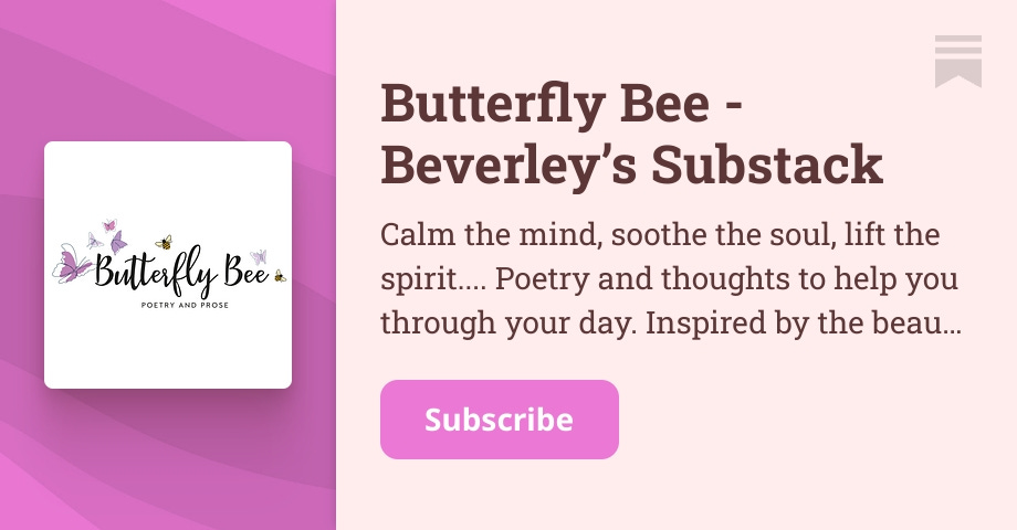 Butterfly Bee - Beverley’s Substack | Beverley Keeping | Substack