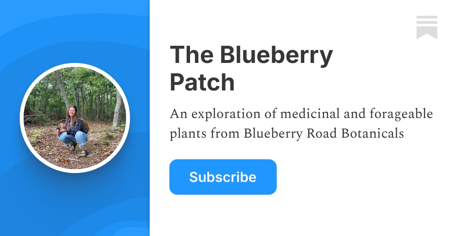 How I celebrated Yule - by Cate Creedon