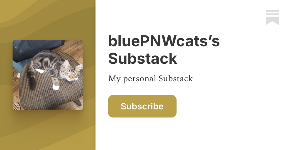 bluePNWcats’s Substack | Substack