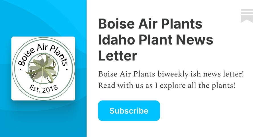 Boise Air Plants Idaho Plant News Letter | Dakota | Substack