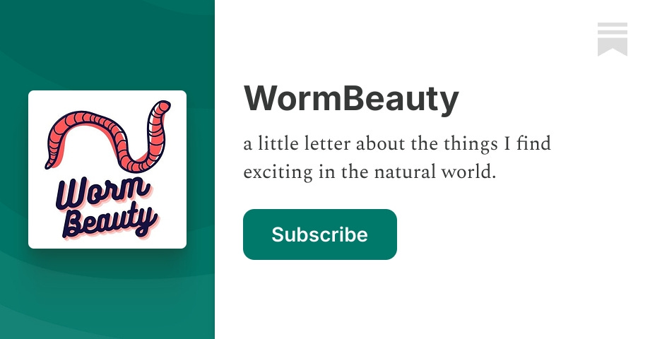 WormBeauty | Becca Rose | Substack