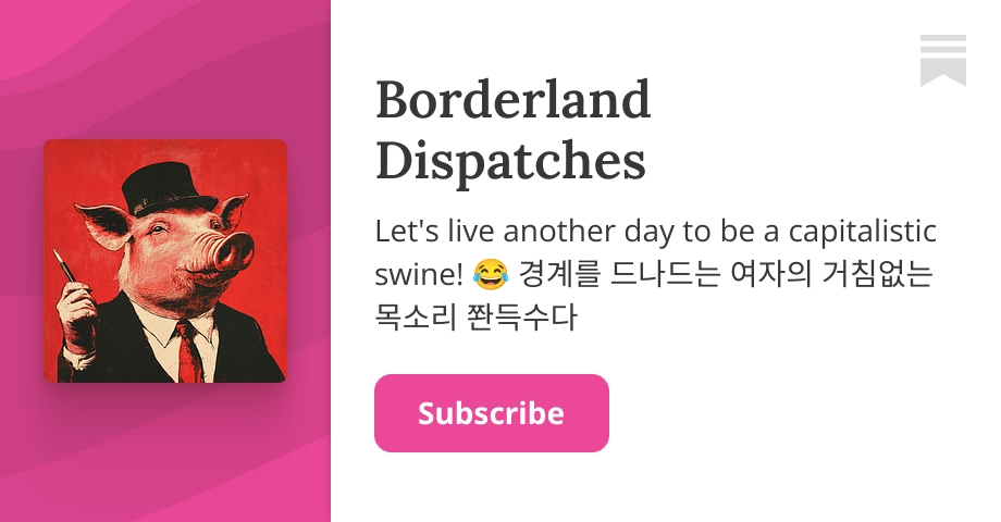 Borderland Dispatches | Lena | Substack