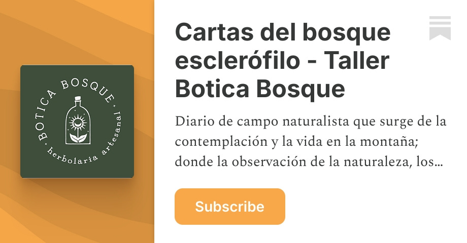Cartas del bosque esclerófilo - Taller Botica Bosque | Substack