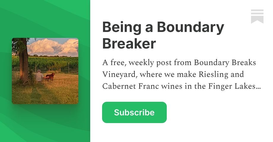 Being a Boundary Breaker | Bruce Murray | Substack