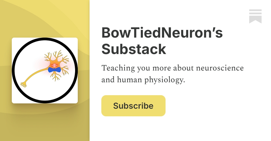 Nootropic Review: L-Theanine - BowTiedNeuron’s Substack