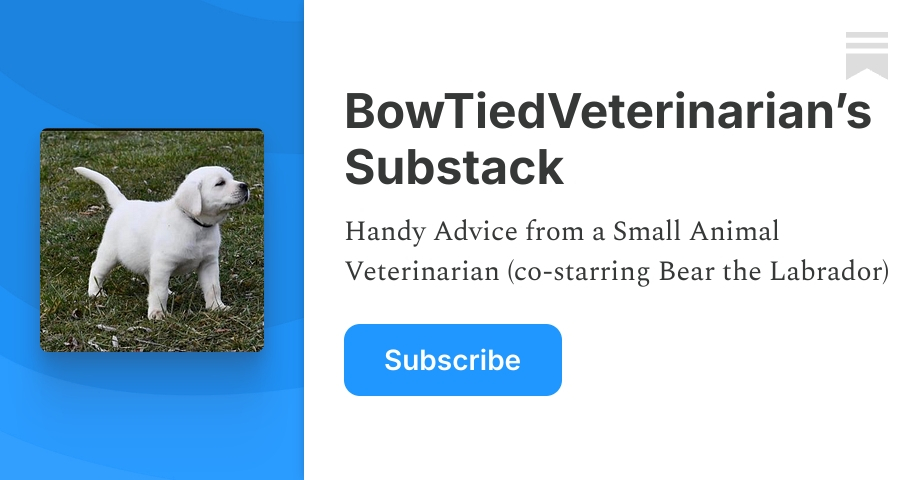 BowTiedVeterinarian’s Substack | BowTied Veterinarian | Substack