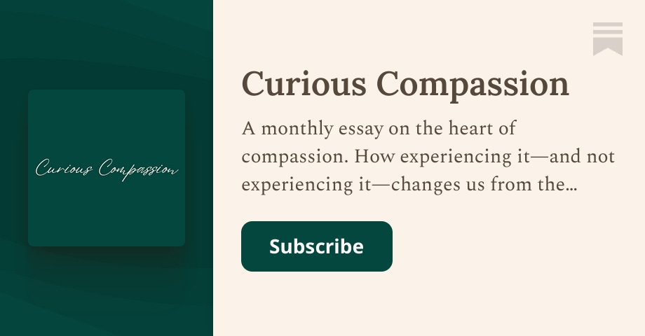 Curious Compassion | Brandy Wallner | Substack