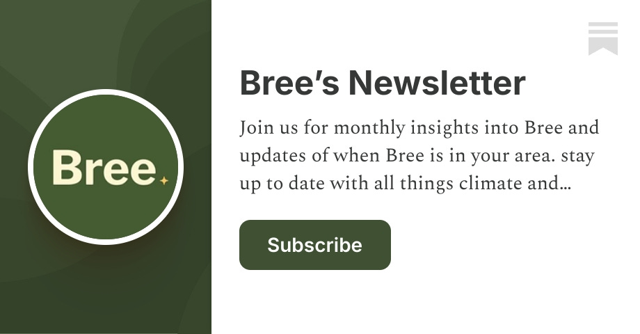 Bree’s Newsletter | Substack