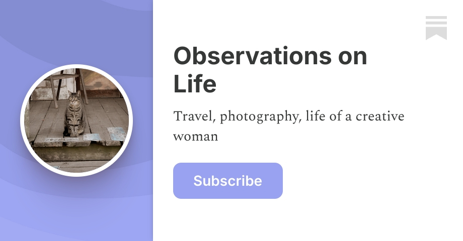 About - Observations on Life