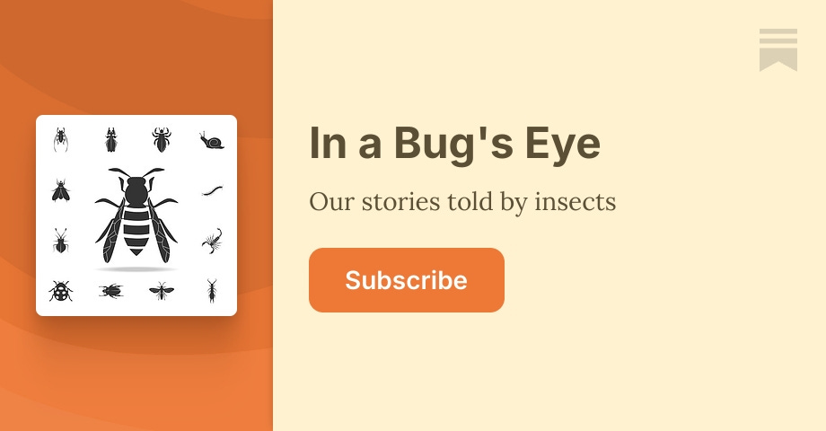 In a Bug's Eye | David Moser | Substack