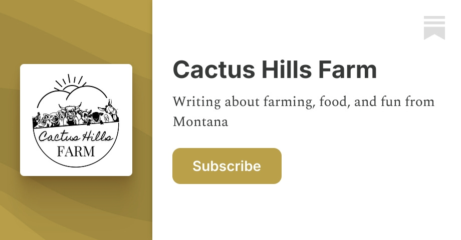 Cactus Hills Farm | Stefani Stoltzfus | Substack