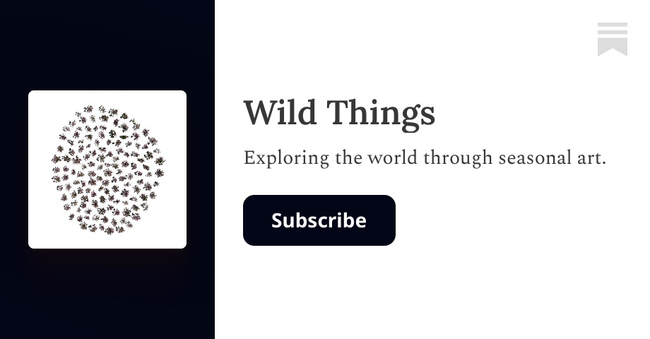 Vegetables in Vogue | Callie Cavanaugh | Substack