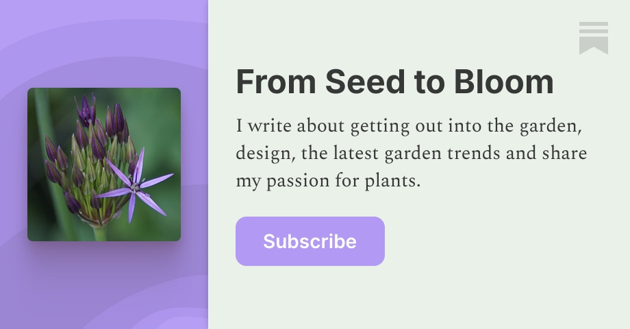 From Seed to Bloom | Camilla Grayley | Substack