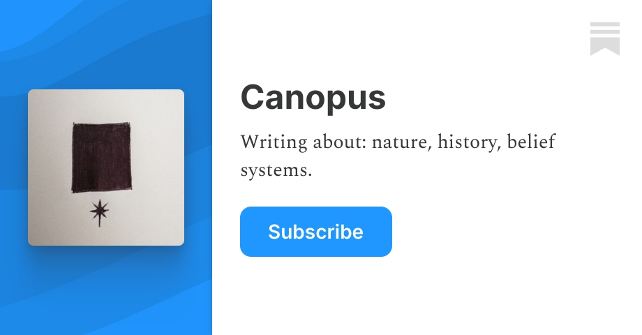 Canopus | Amina Khan | Substack