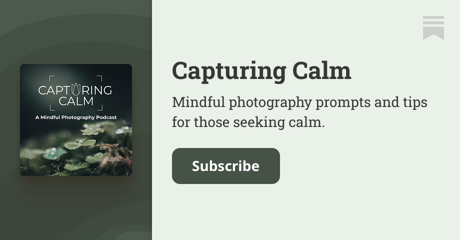 Capturing Calm | Ellie Macdonald | Substack