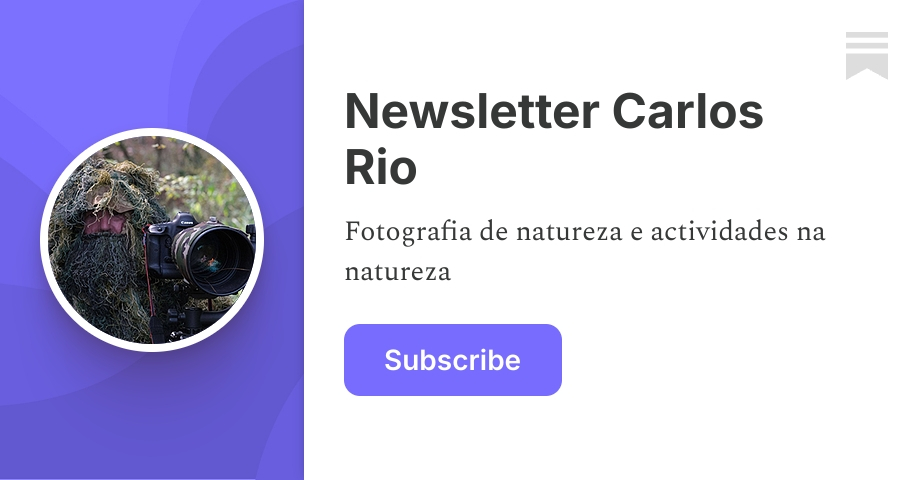 Newsletter Carlos Rio | Substack