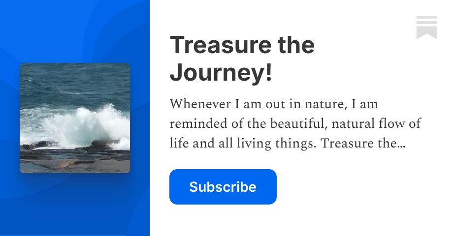 Treasure the Journey! | Carole Brush | Substack