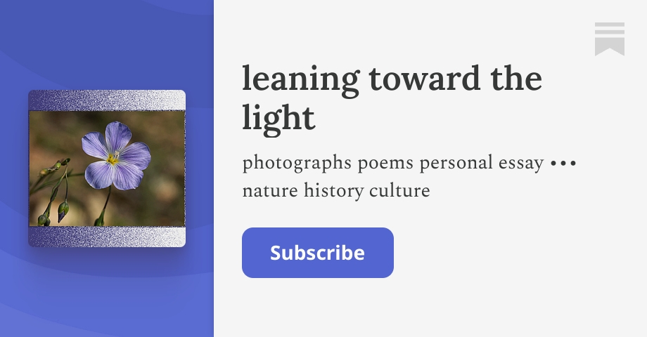 leaning toward the light | Carole Harmon | Substack