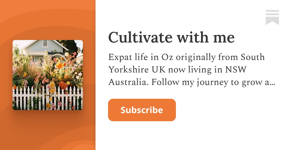 Cultivate with me | Caroline | Substack