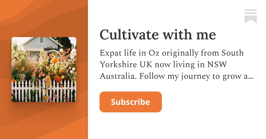 Cultivate with me | Caroline Carter | Substack