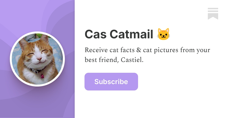 Cas Catmail 🐱 | Cas's Catmail🐱 | Substack