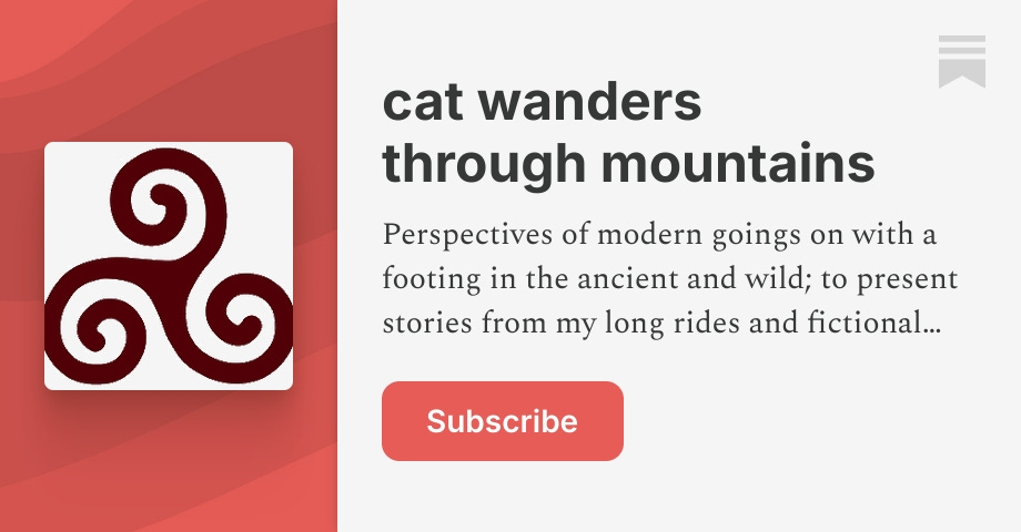 cat wanders through mountains | Substack
