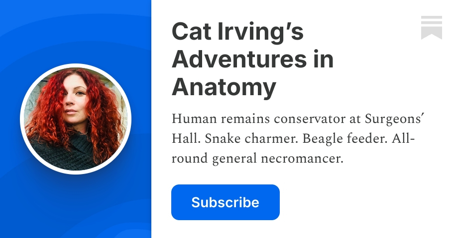 Cat Irving’s Adventures in Anatomy | Substack